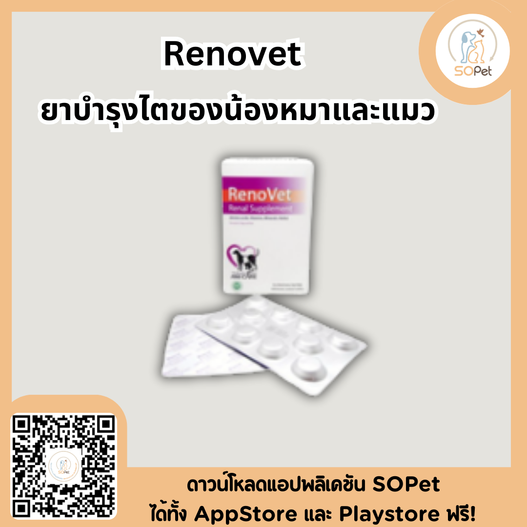 RenoVet บำรุงไตสุนัข บำรุงไตแมว – SOPet
